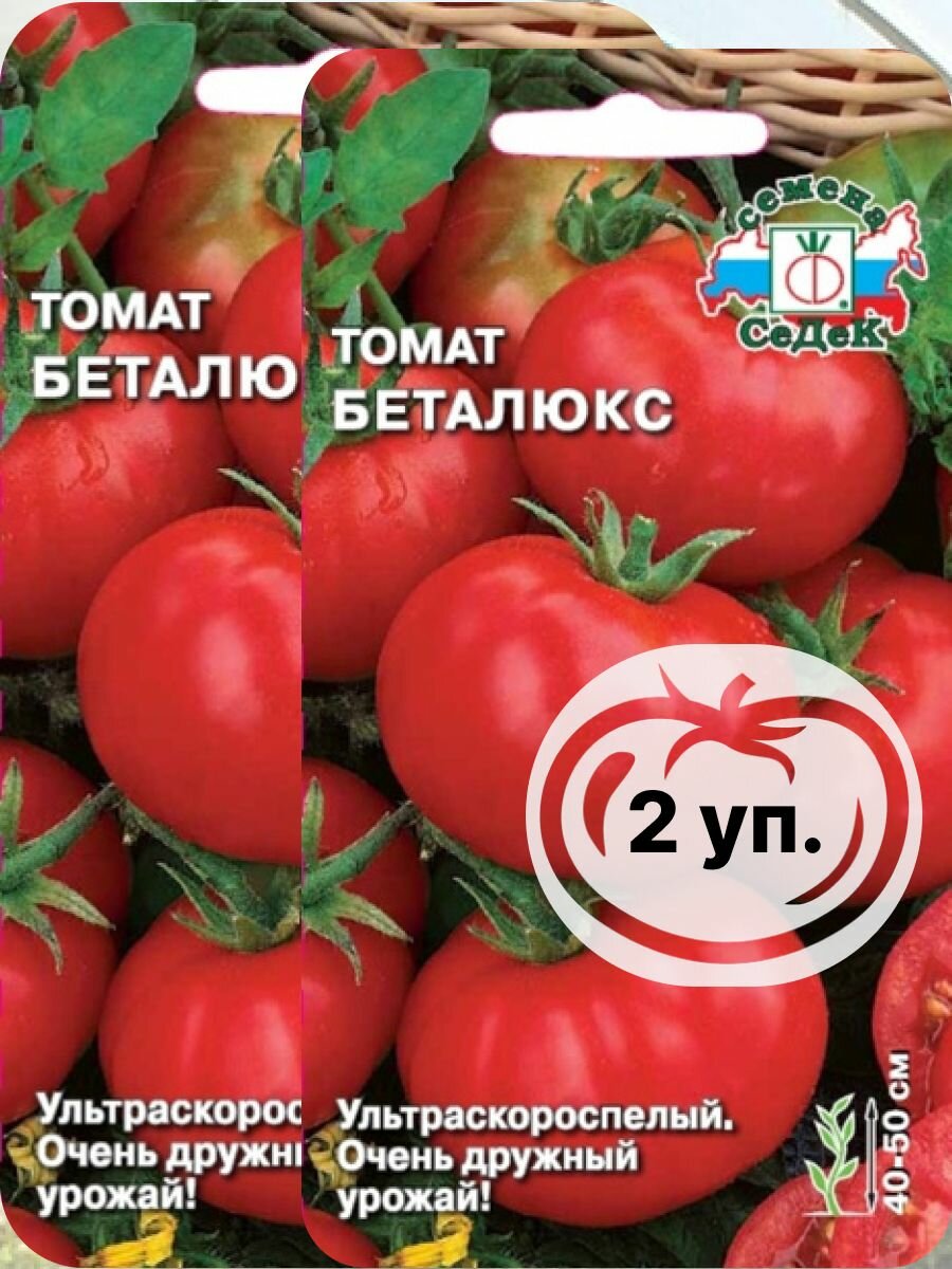 Семена Томат беталюкс Седек (2 упаковки)
