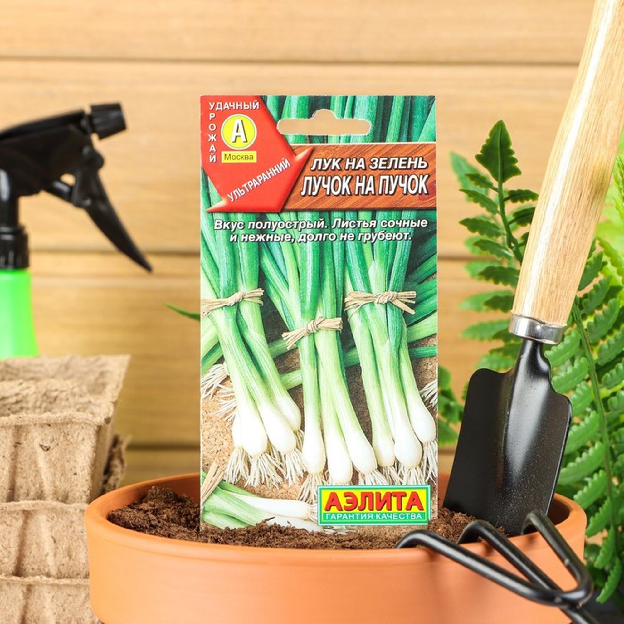 Семена лука "Лучок на Пучок" Агрофирма аэлита, ультраранний, для зелени, 0,5 г