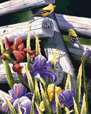 М. П. Студия канва бисером №3 50x40 см Г-032 Ирисы для вышивания по рисунку детальная схема