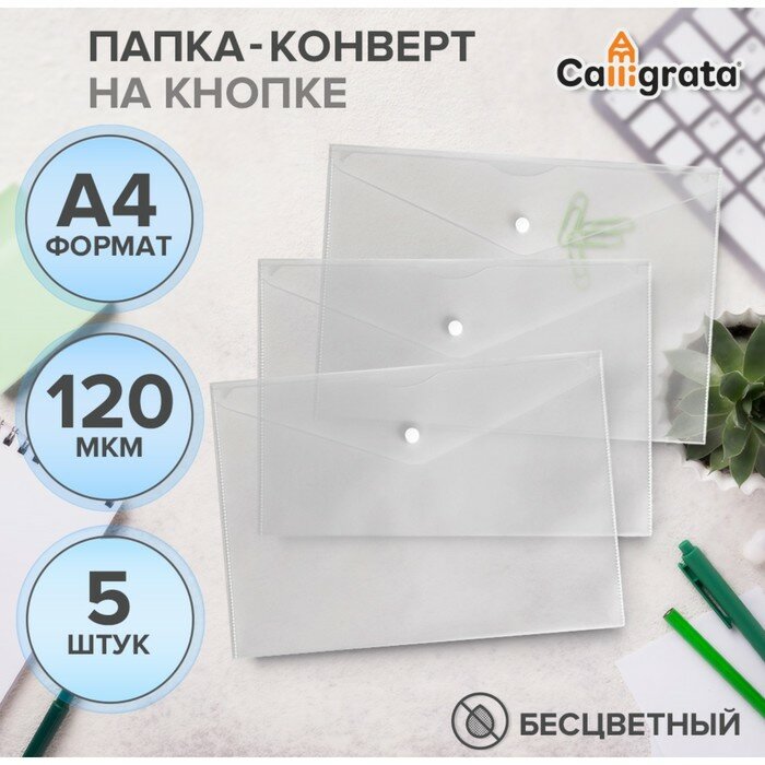 Набор папок-конвертов на кнопке 5 штук, А4, 120 мкм, Calligrata, прозрачные, белые, 2 шт.