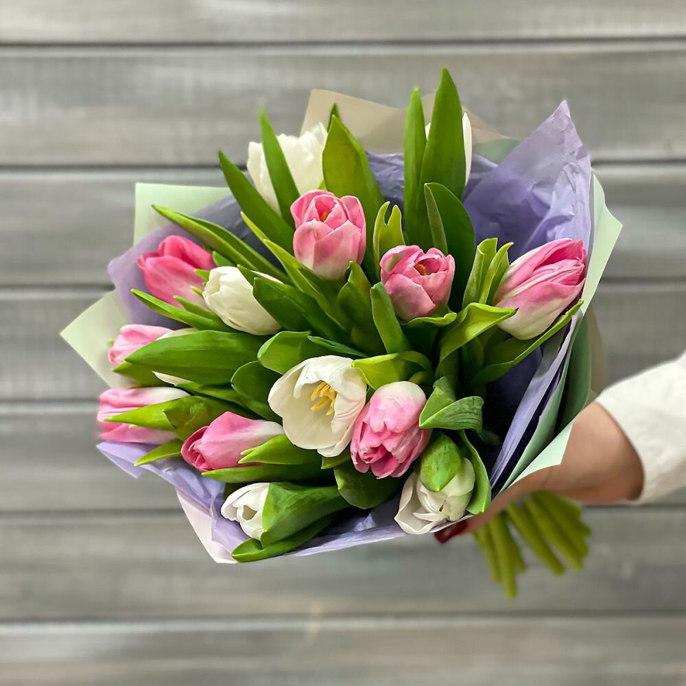 Букет цветов из 15 розовых и белых тюльпанов в упаковке