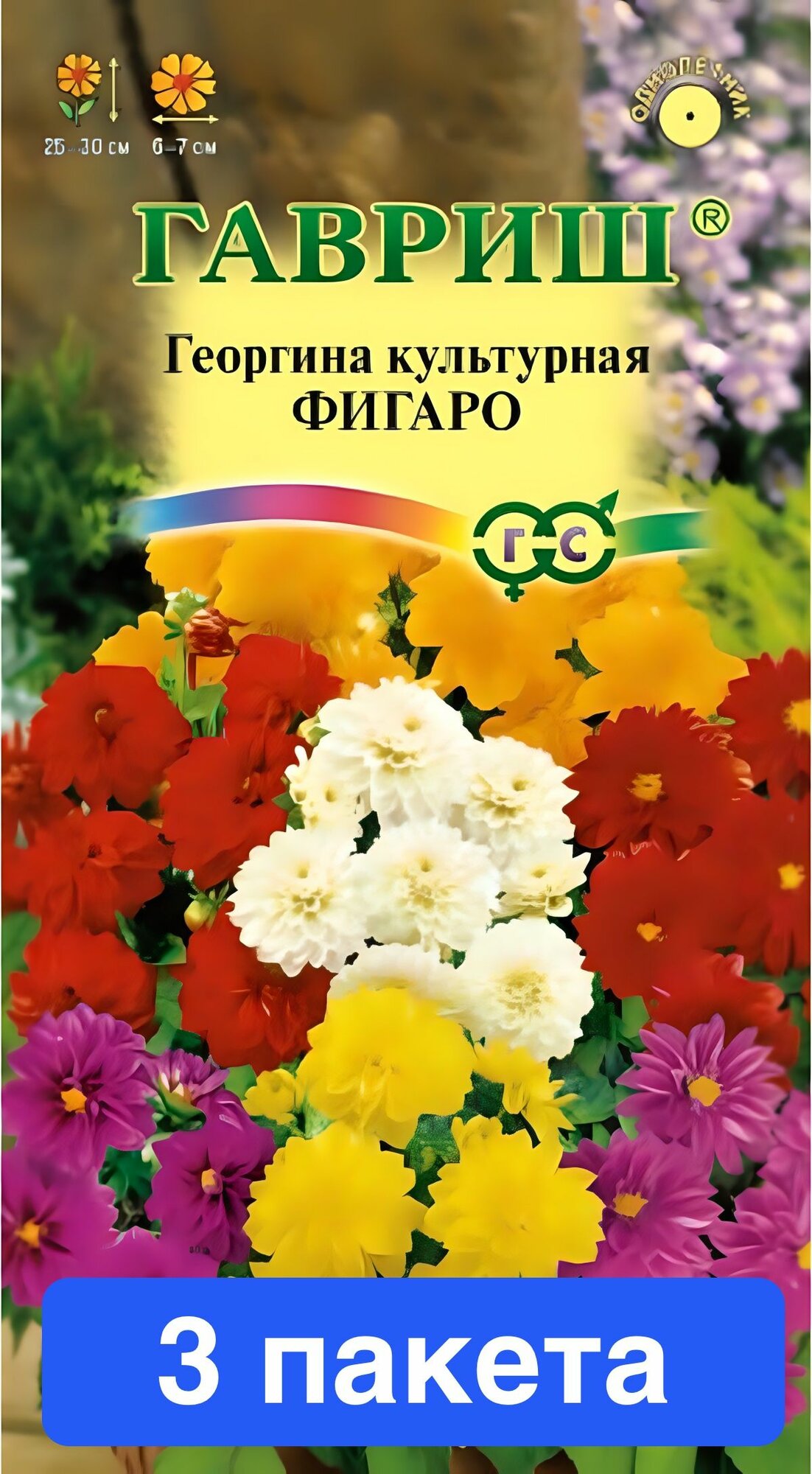 Цветы Георгина Фигаро 3 пакета