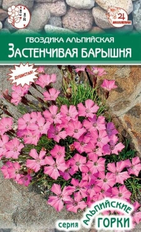 Семена растения Гвоздика альпийская застенчивая Барышня