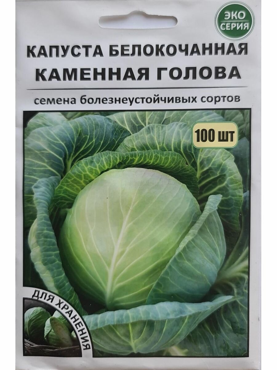 Капуста белокочанная Каменная Голова
