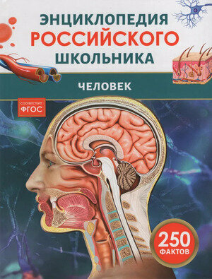 ЭнцРоссийскогоШкольника Человек