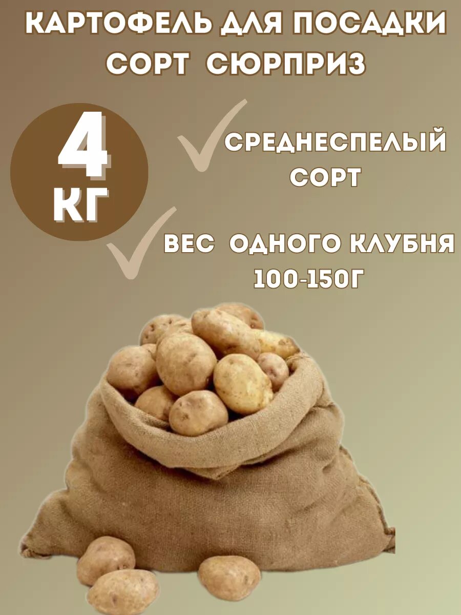 Картофель семенной "Сюрприз" 4кг