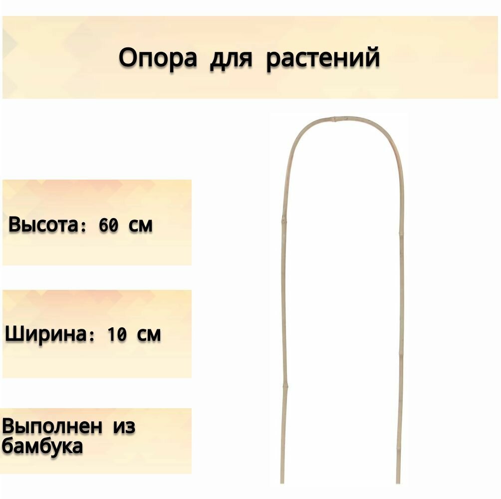 Опора для растений высотой 60 см, бамбук, для поддержки комнатных декоративных и вьющихся растений, подходит для орхидей