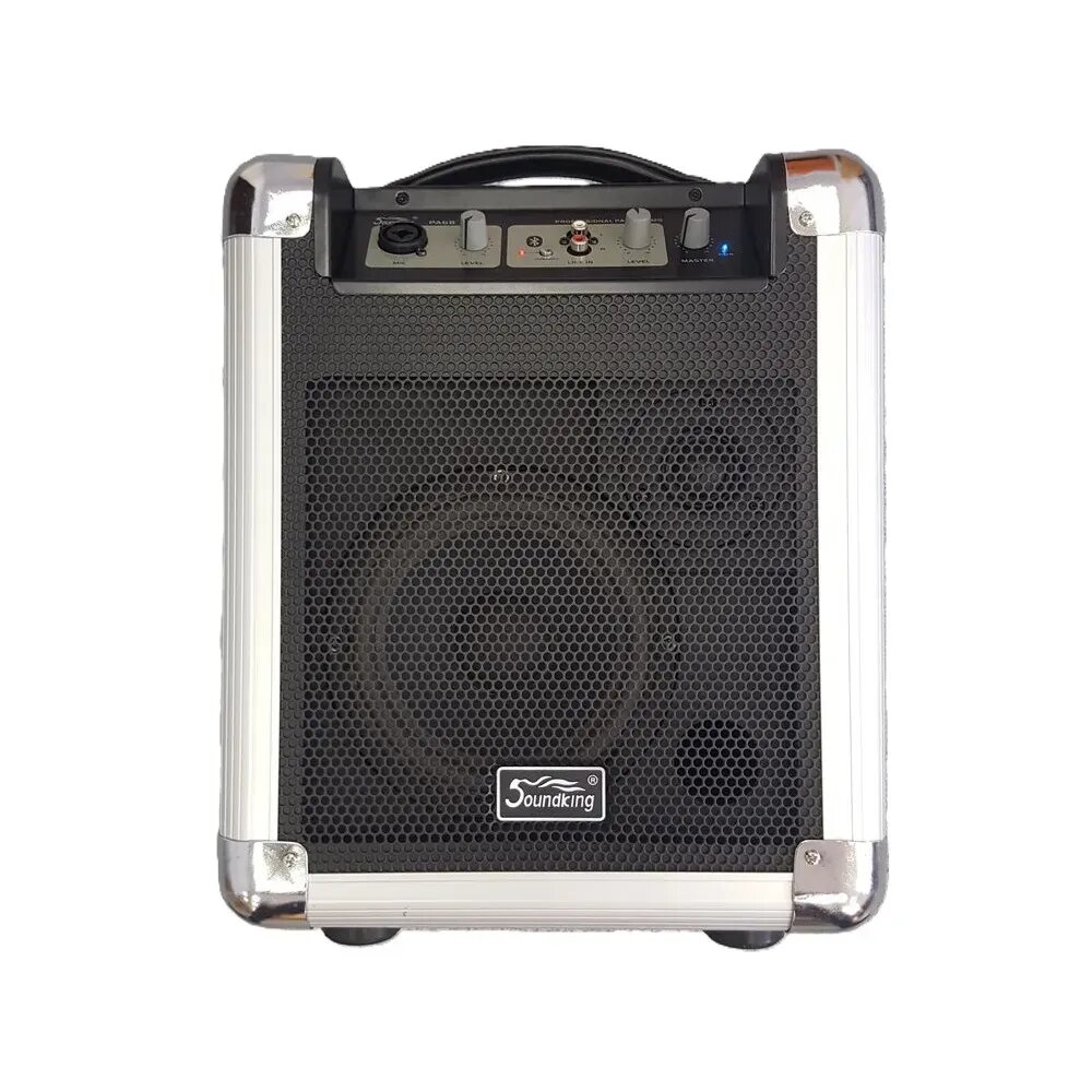 Портативная акустическая система Soundking PA6B Black