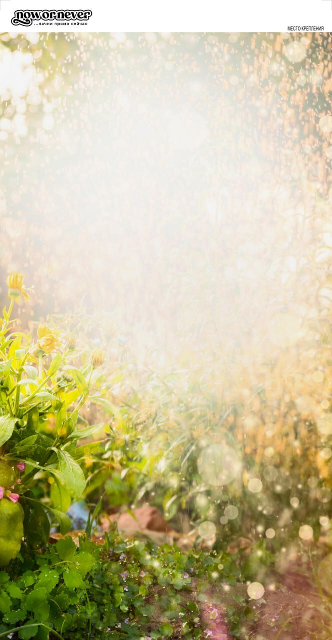 Фотофон Поле, фон для фото, маникюра, торта, предметной съемки