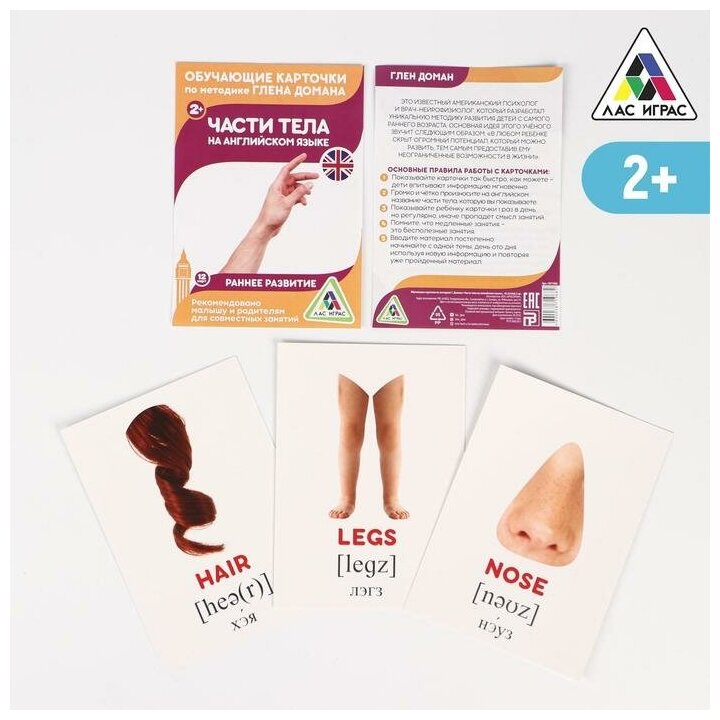 ЛАС играс Обучающие карточки по методике Г. Домана «Части тела на английском языке», А6