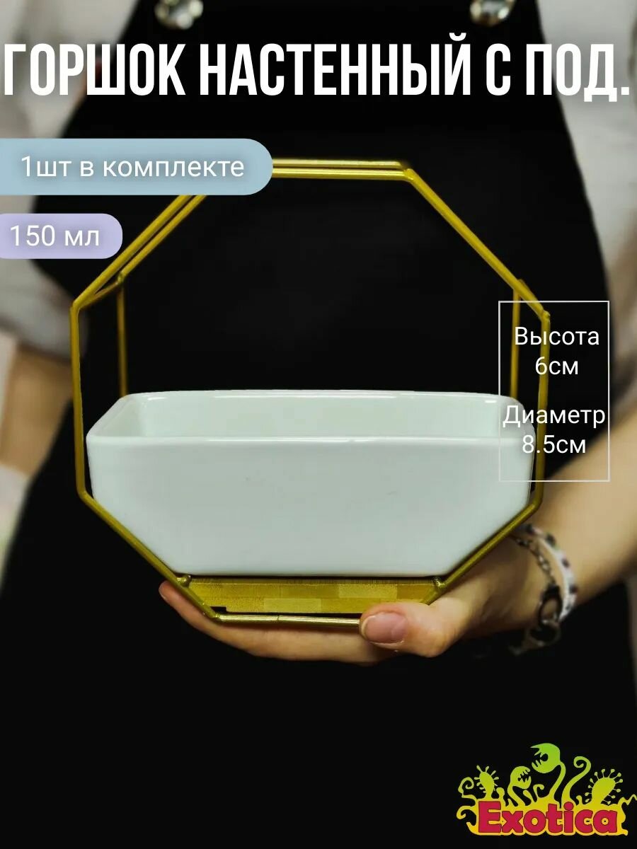 Горшок настенный с бамбуковым поддоном