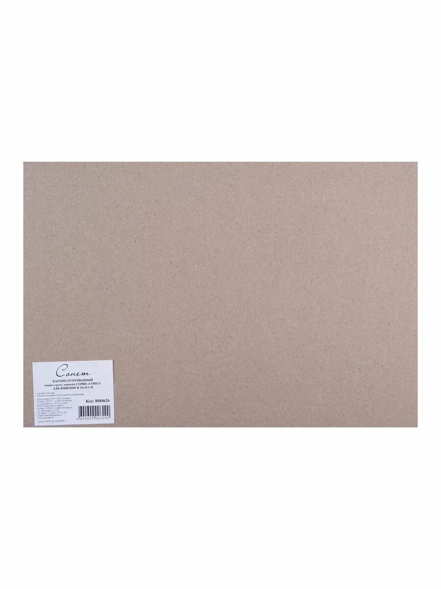 Картон грунтованный Невская палитра Сонет, 20х30 см, черный 8084626
