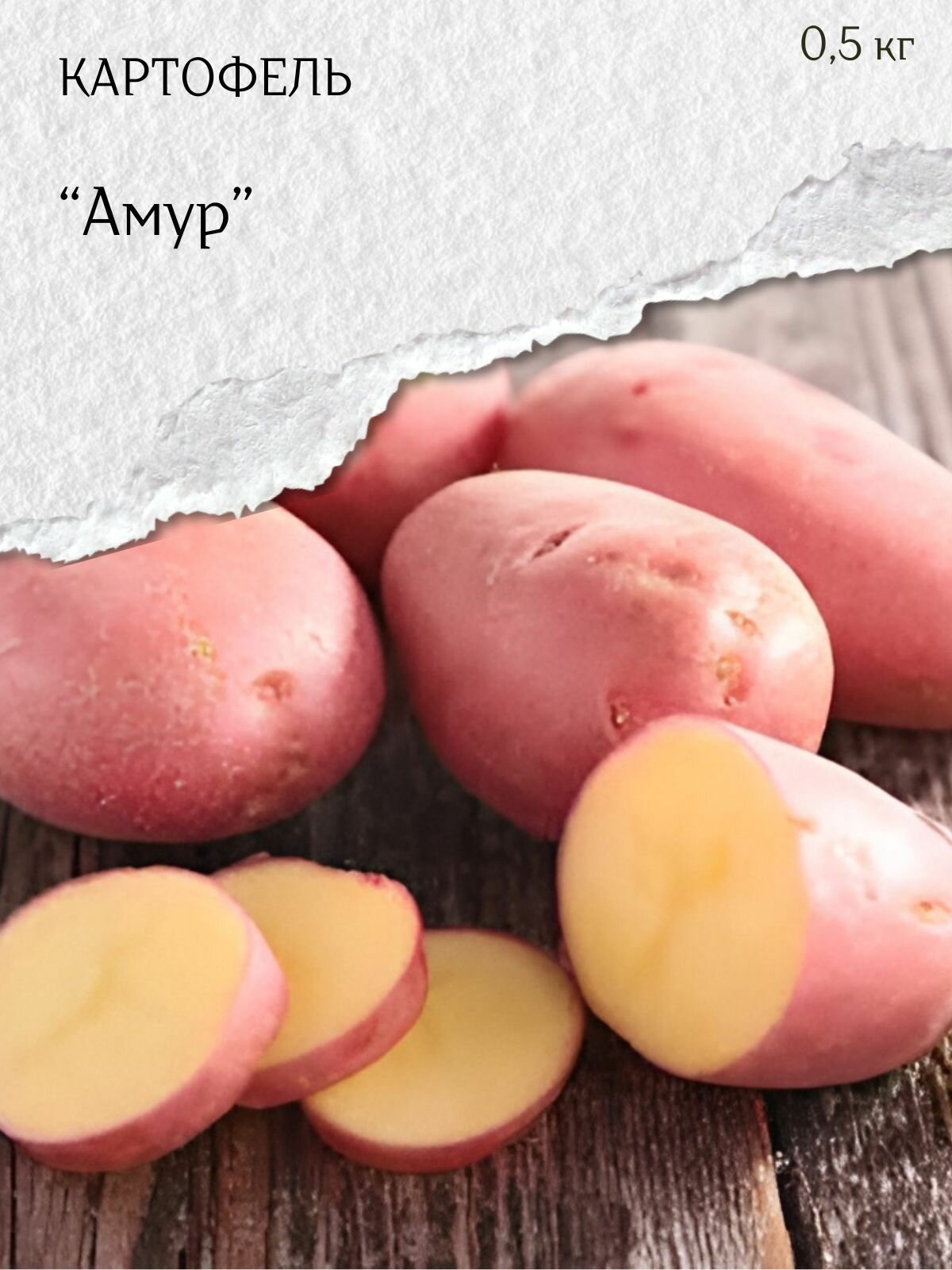 Картофель семенной красный Амур клубни на посадку 500 гр.