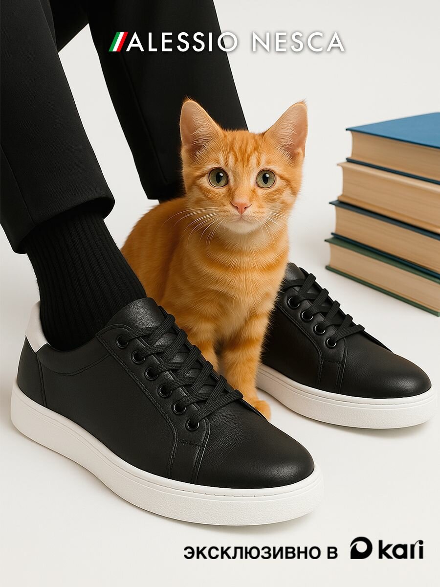 Кеды Осень-зима 2024