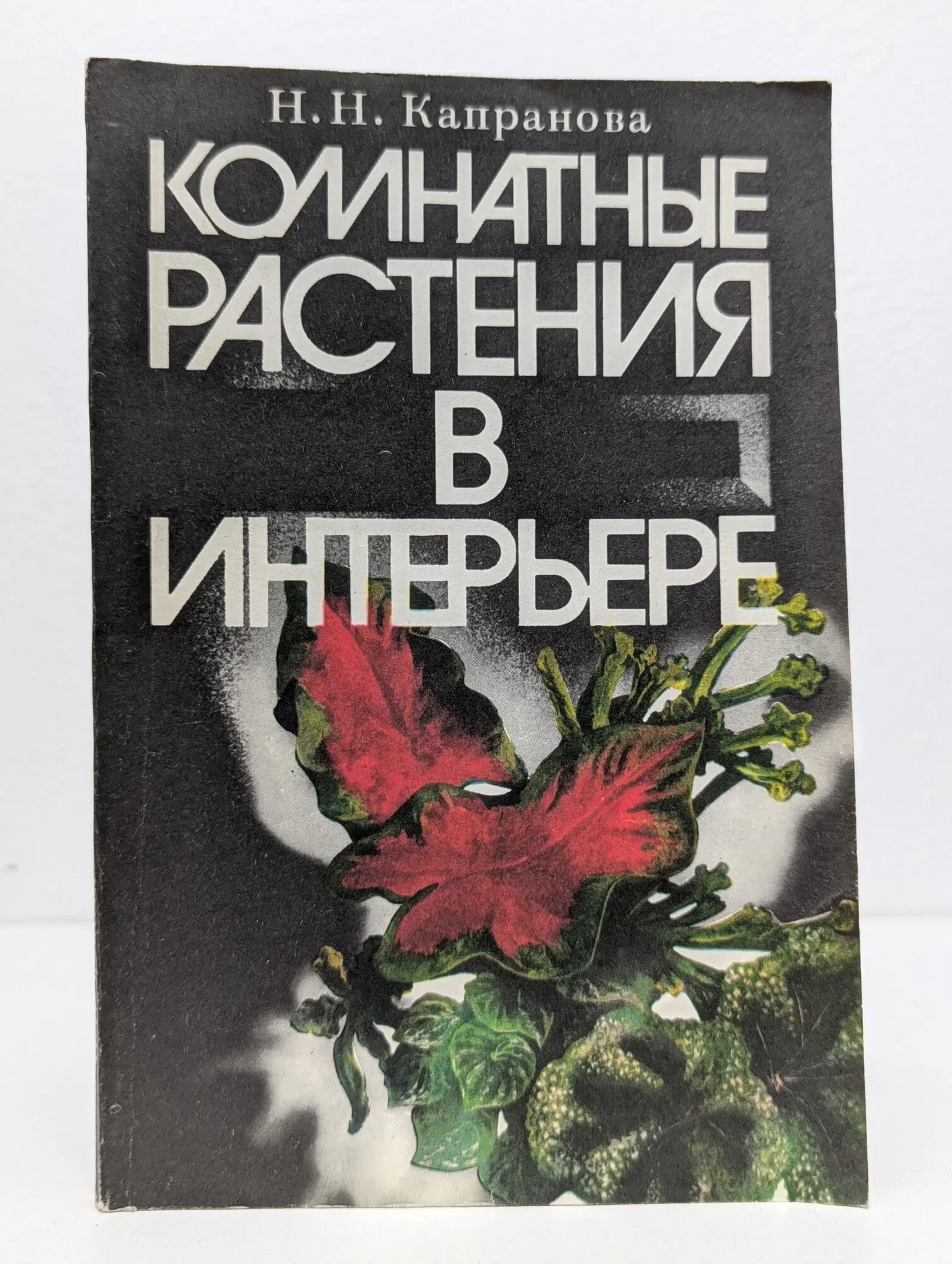 Комнатные растения в интерьере Капранова Нинель Никандровна 1989