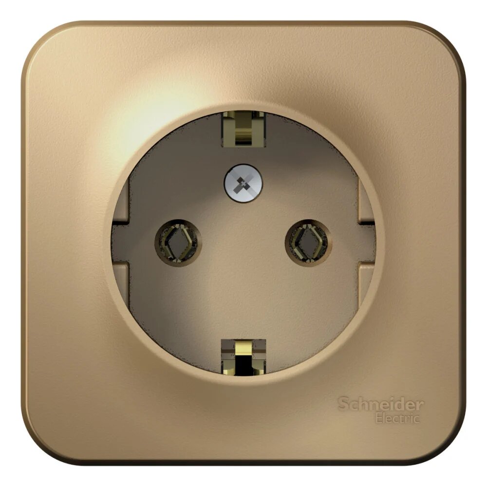 Розетка Systeme Electric Blanca о/у, с заземлением, без шторок, 16а, 250в, титан BLNRA010104