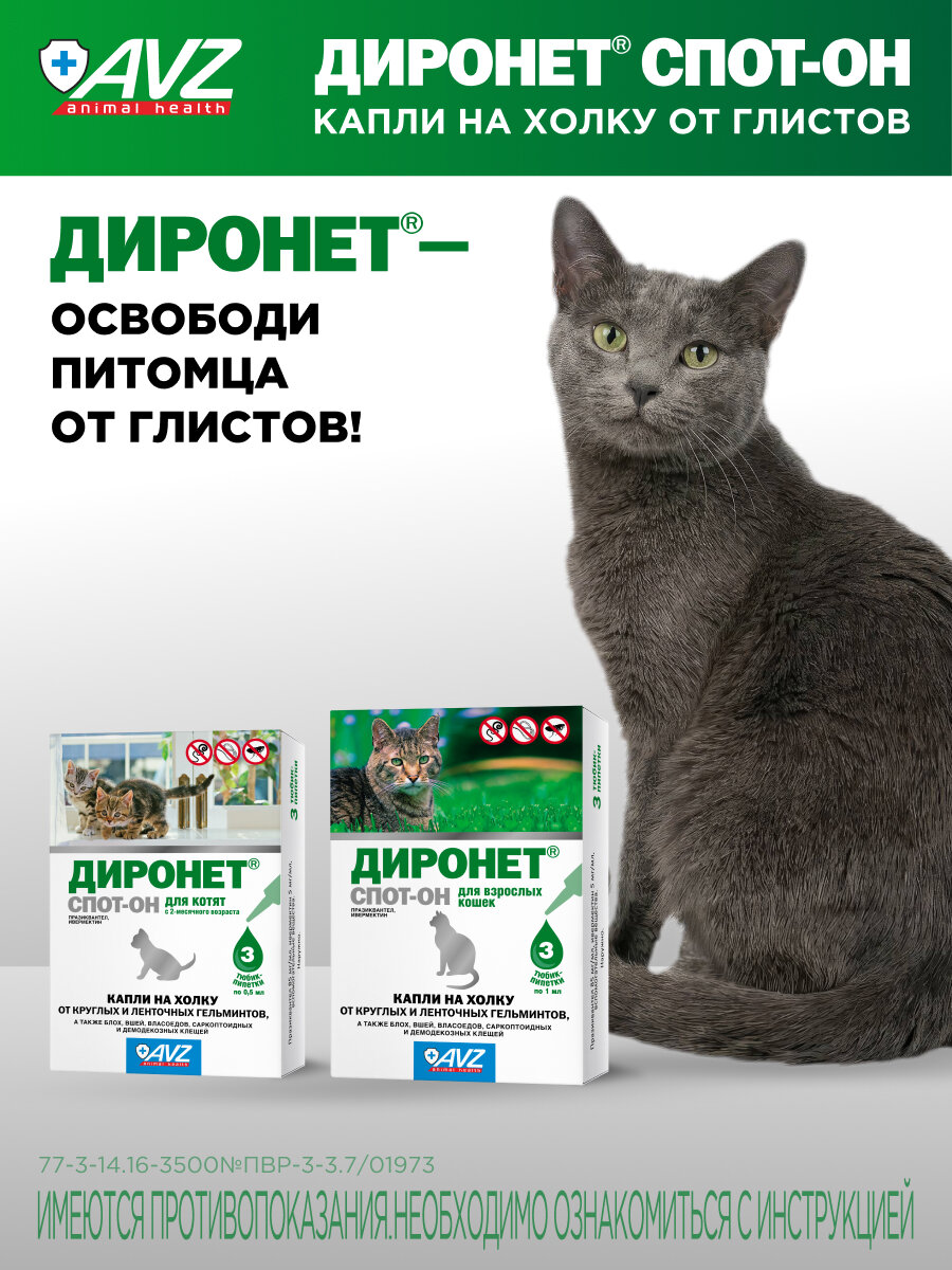АВЗ капли на холку Диронет для кошек от глистов и паразитов, 3 пипетки — фото 1