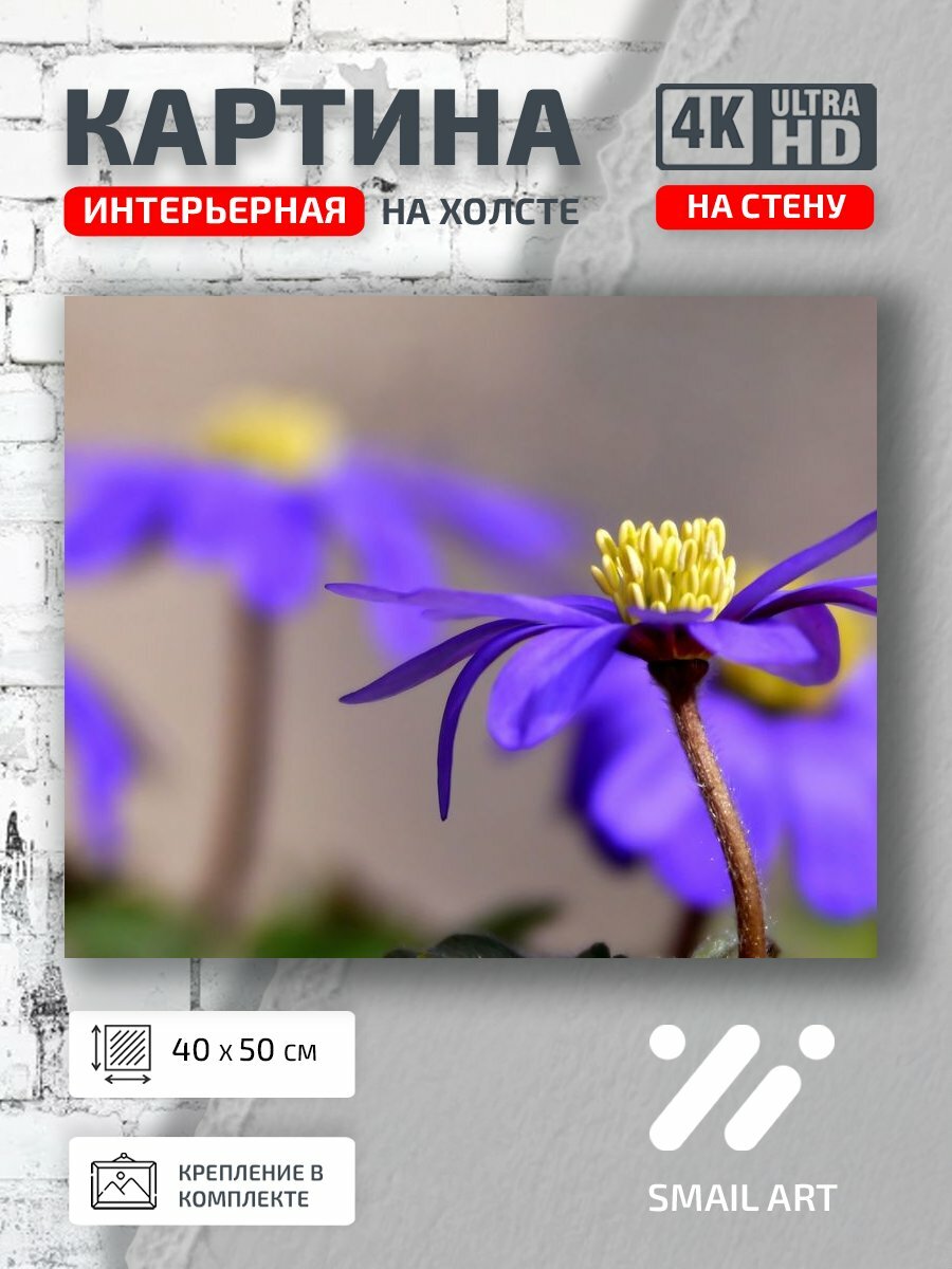 Картина на холсте интерьерная 40 на 50 на стену Лепестки Mood для спальни атмосфера декор