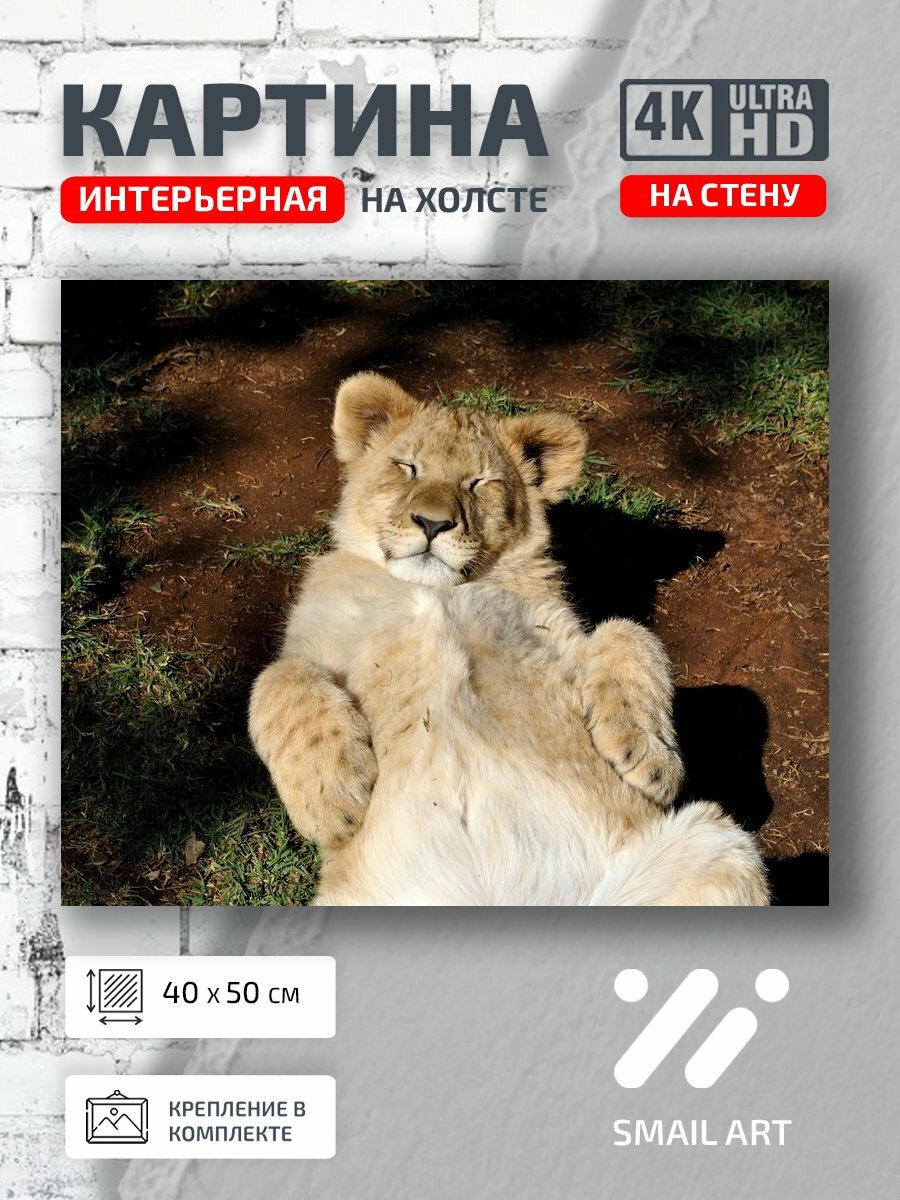 Картина на холсте интерьерная 40 на 50 на стену Солнце Mood для студии атмосфера интерьер