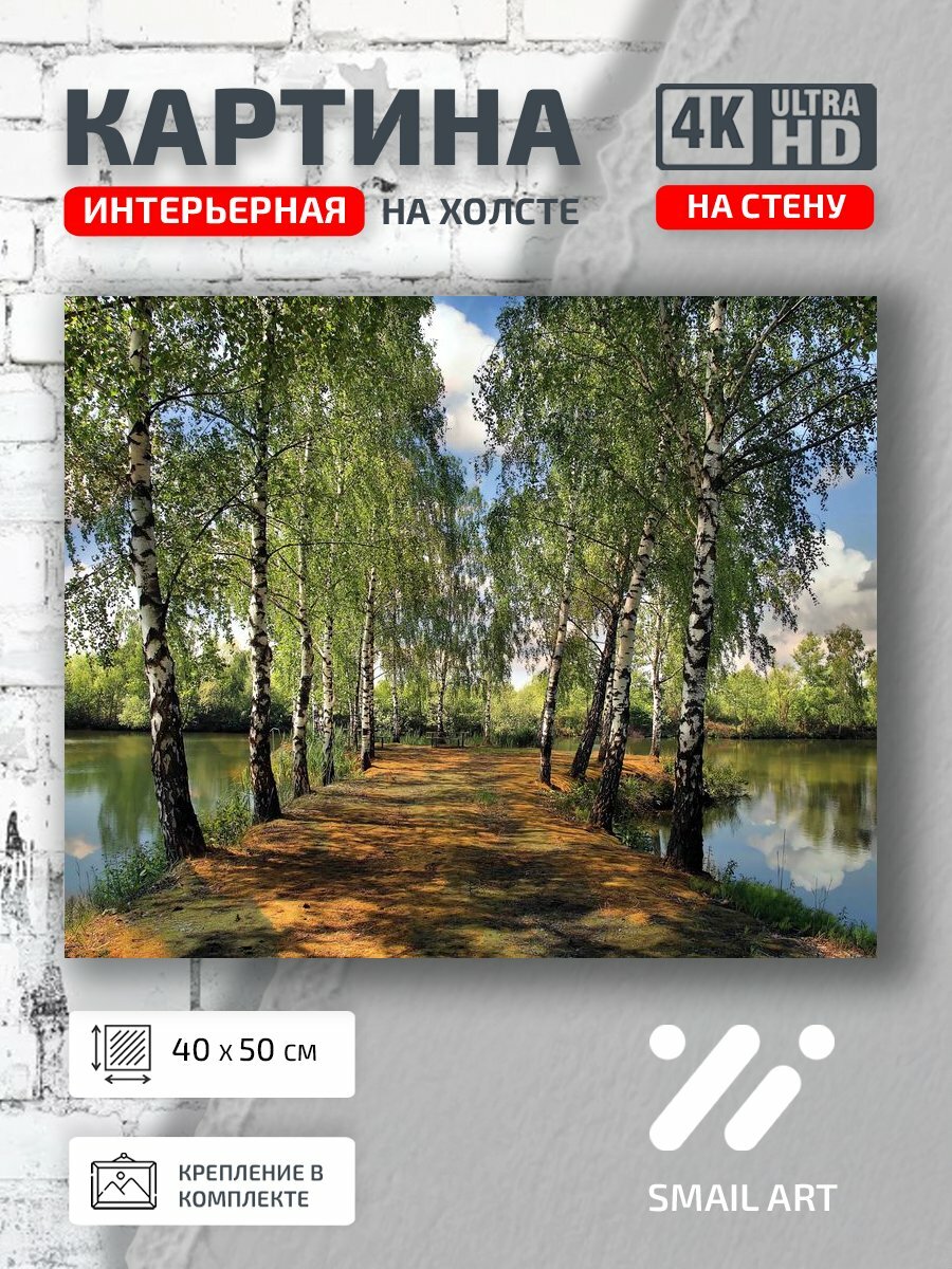 Картина на холсте интерьерная 40 на 50 на стену Берез Landscape для офиса пейзаж интерьер