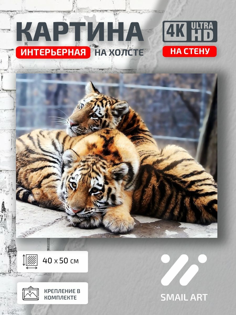 Картина на холсте интерьерная 40 на 50 на стену Тигры Landscape для кабинета пейзаж декор