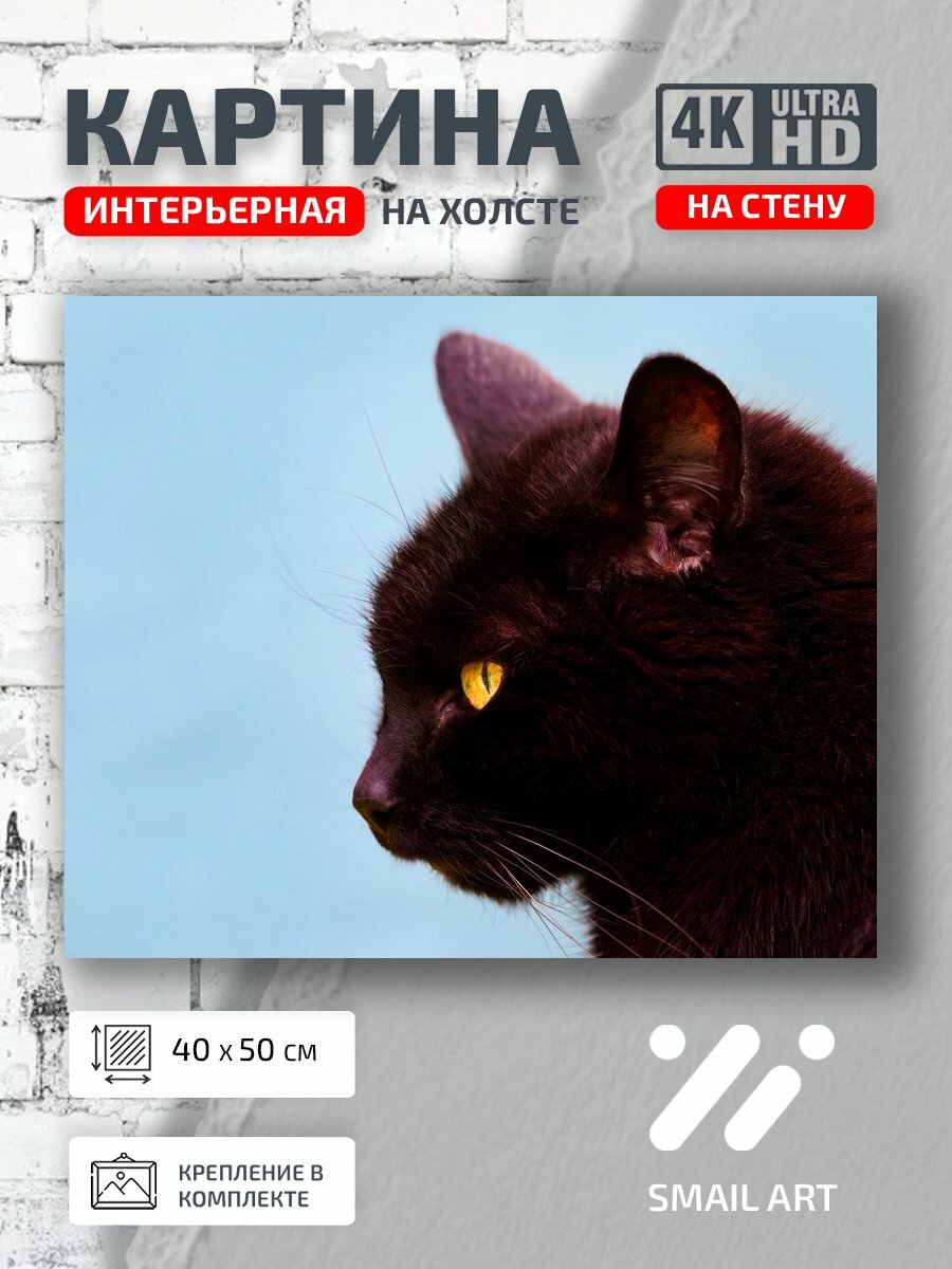 Картина на холсте интерьерная 40 на 50 на стену Взгляд Animal для кафе animal style декор