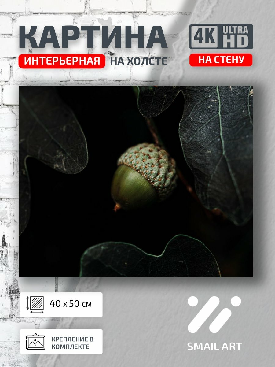 Картина на холсте интерьерная 40 на 50 на стену Дуб Landscape для спальни пейзаж интерьер