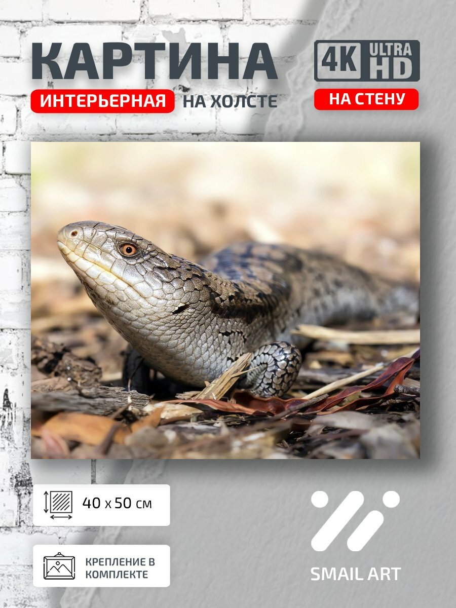 Картина на холсте интерьерная 40 на 50 на стену Земле Mood для офиса атмосфера интерьер