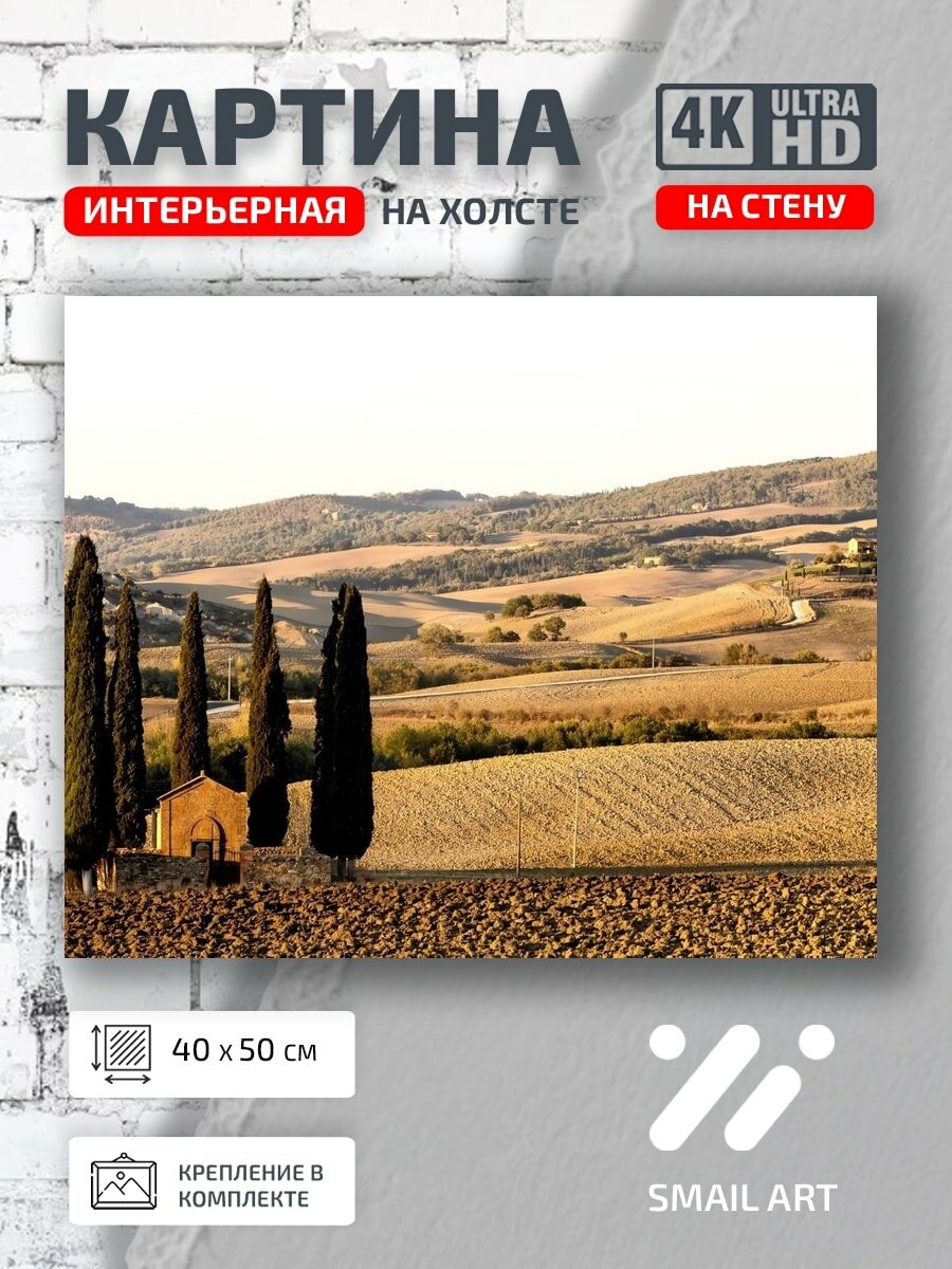 Картина на холсте интерьерная 40 на 50 на стену Toscana поля для кабинета пейзаж