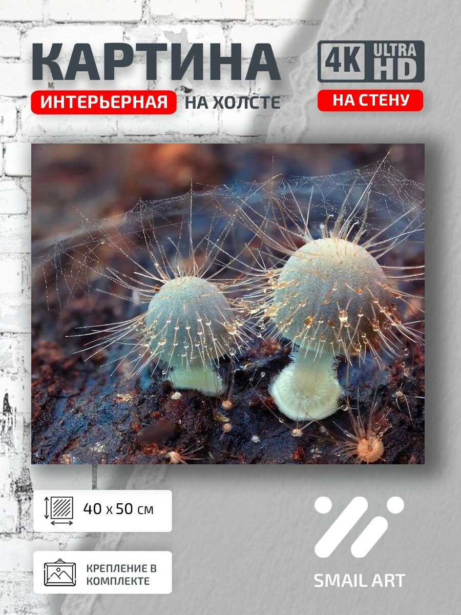 Картина на холсте интерьерная 40 на 50 на стену Макро Грибы для гостиной атмосфера