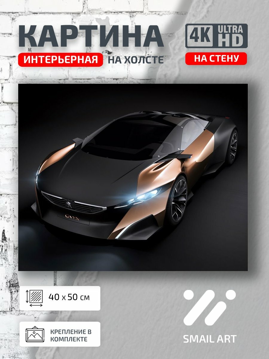 Картина на холсте интерьерная 40 на 50 на стену Оникс peugeot для геймера авто дизайн декор