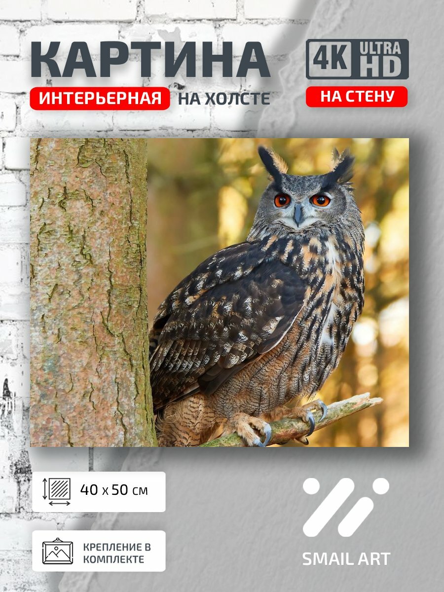 Картина на холсте интерьерная 40 на 50 на стену Лес Landscape для кабинета пейзаж интерьер