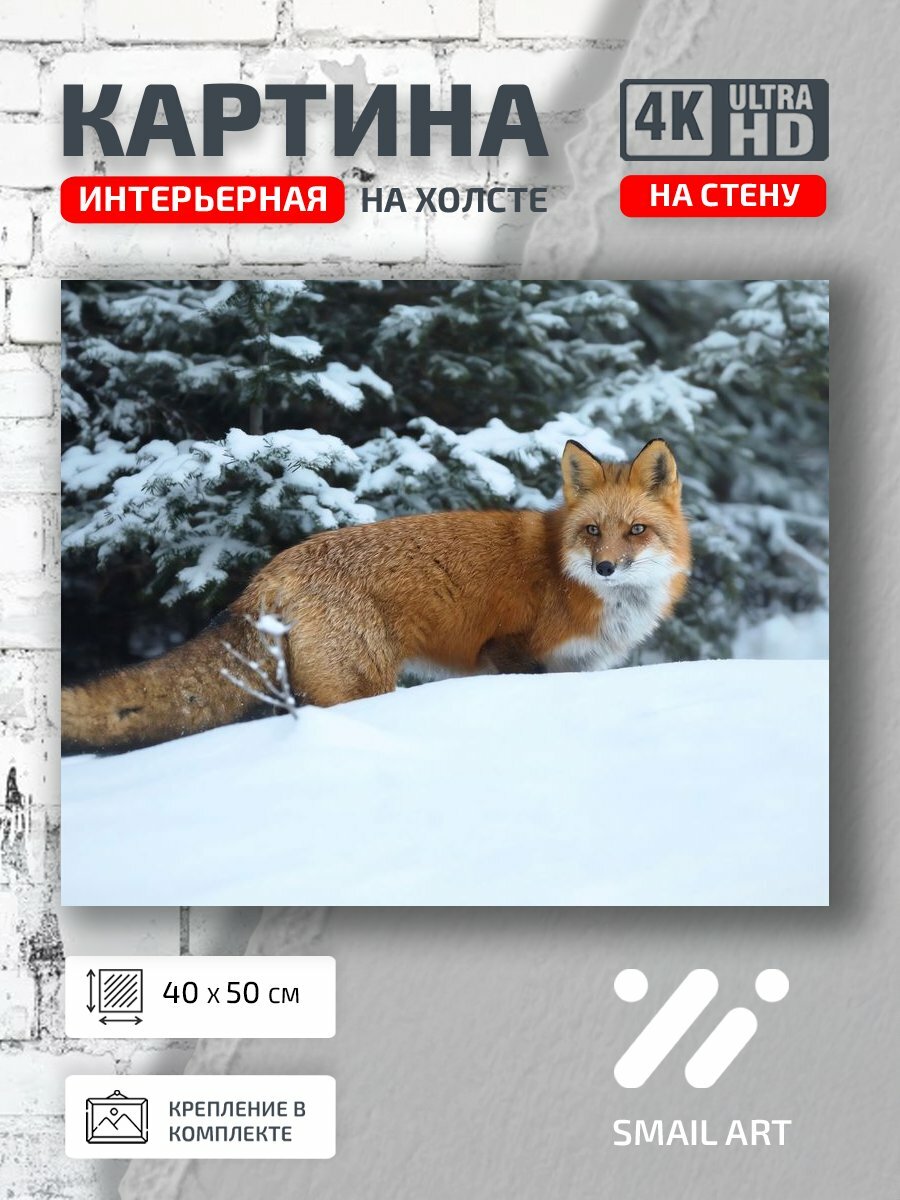 Картина на холсте интерьерная 40 на 50 на стену Зима Animal для детской animal style декор