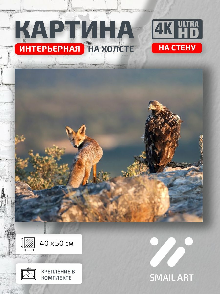 Картина на холсте интерьерная 40 на 50 на стену Орел Animal для детской animal style декор