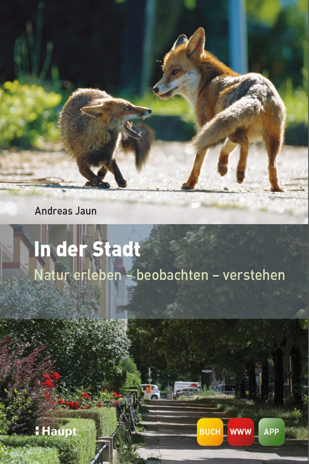 In der Stadt [Цифровая книга]