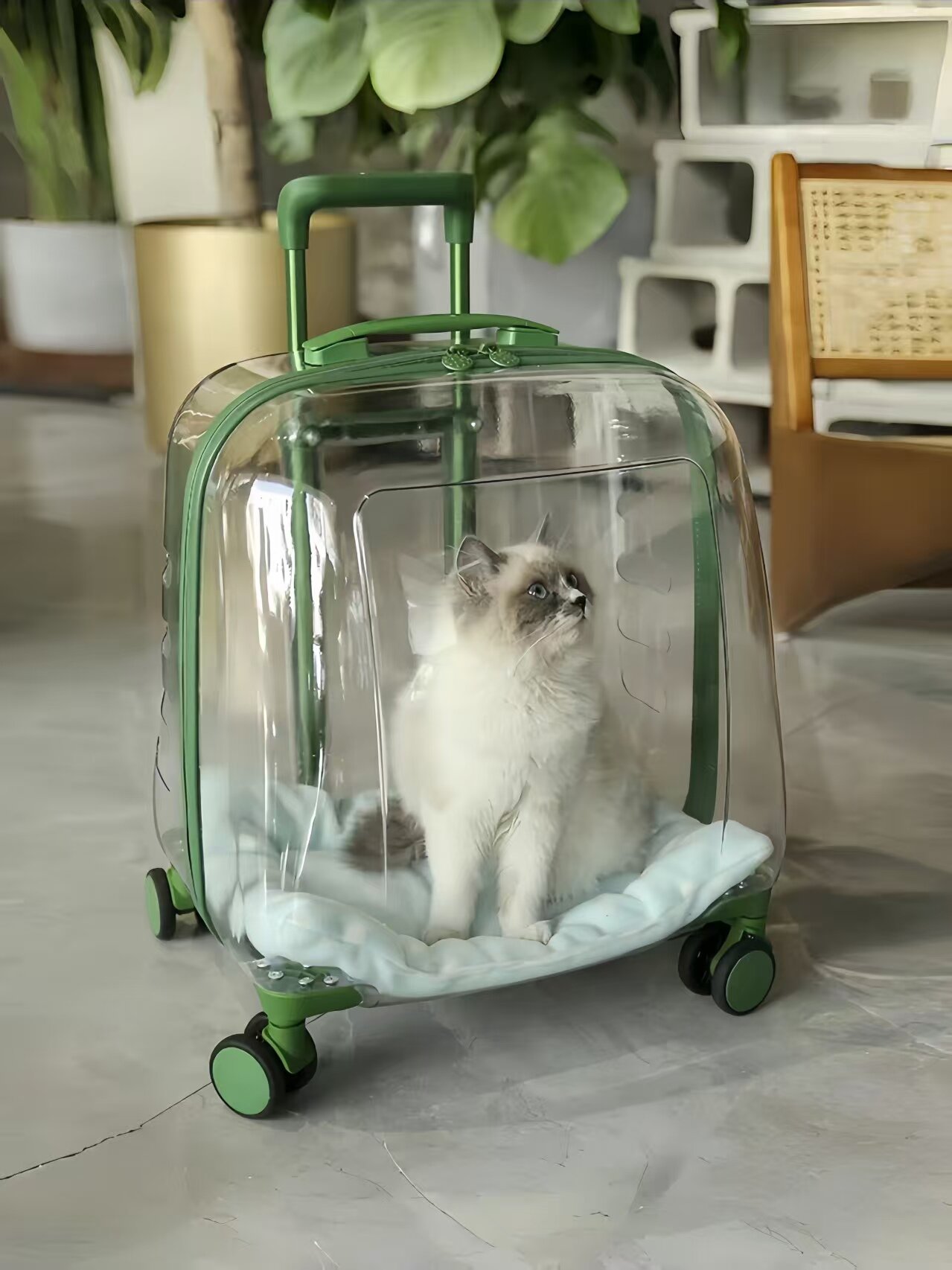 Переноска для животных "Кошачий Чемодан", для кошек, на колёсиках, прозрачная