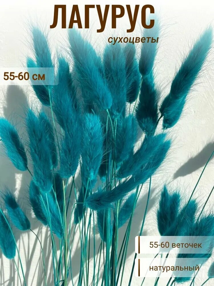 Сухоцветы Лагурус, 60 см, 55 шт