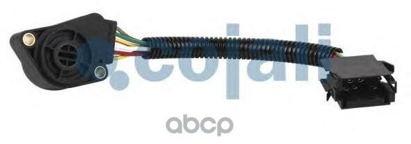 Потенциометр педали газа ! 6-pin черн. прямоуг. фишка VOLVO FH12 Cojali арт. 2260368