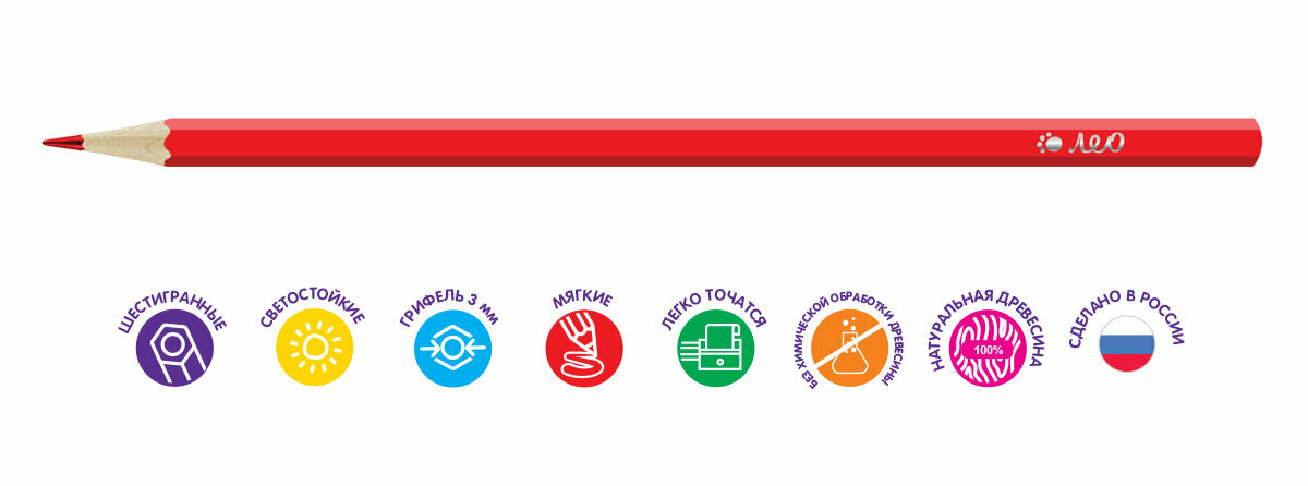 Набор цветных карандашей "Лео" "Учись" LNSCP-24 заточенные 24 цв.