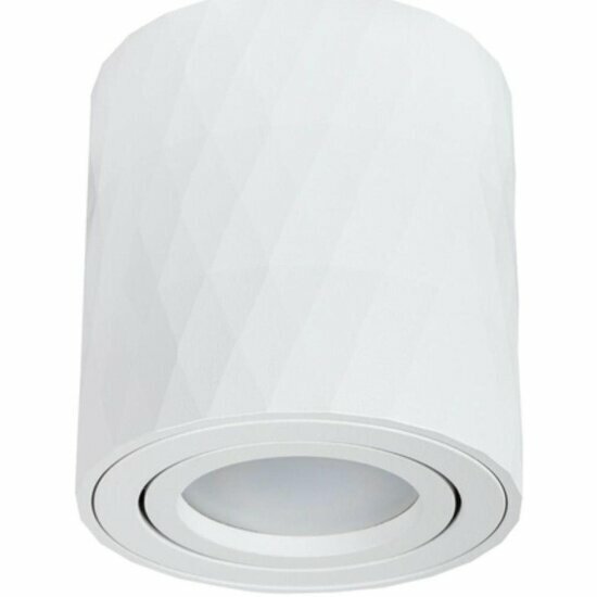 Потолочный светильник Arte Lamp Fang A5559PL-1WH