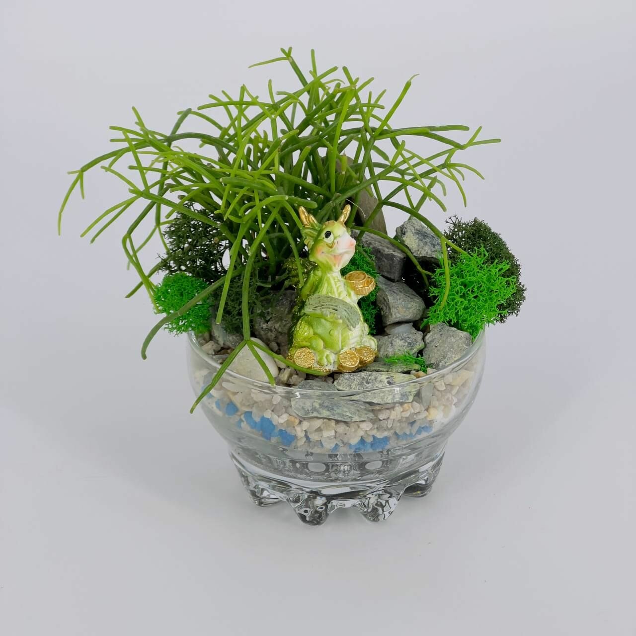 Флорариум с драконом