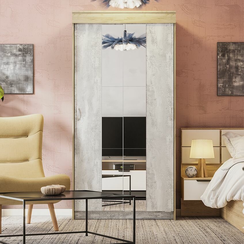 1 шт шкаф-купе Бассо 1,0м дуб крафт серый/бетонный камень + 2 шт Зеркало для ШК Бассо 1,0м (Интерьер-Центр)