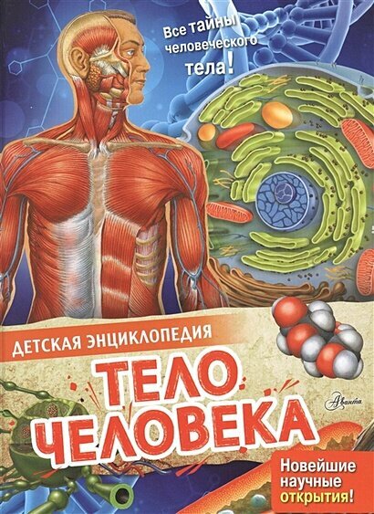 Тело человека (МакРей Э.) — фото 1