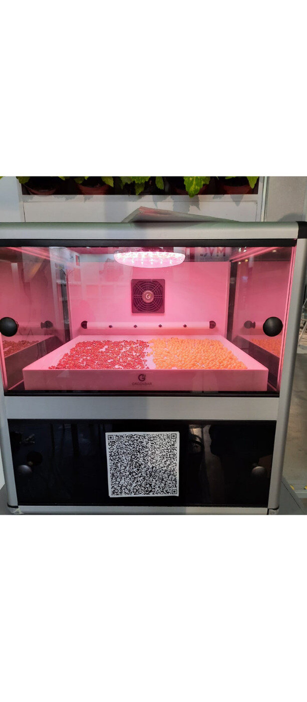 КубиQ для выращивания микрозелени