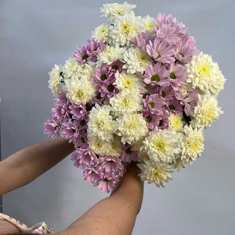 Букет цветов 29 - Хризантемы