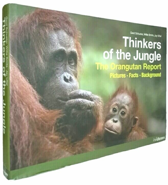 Thinkers of the jungle