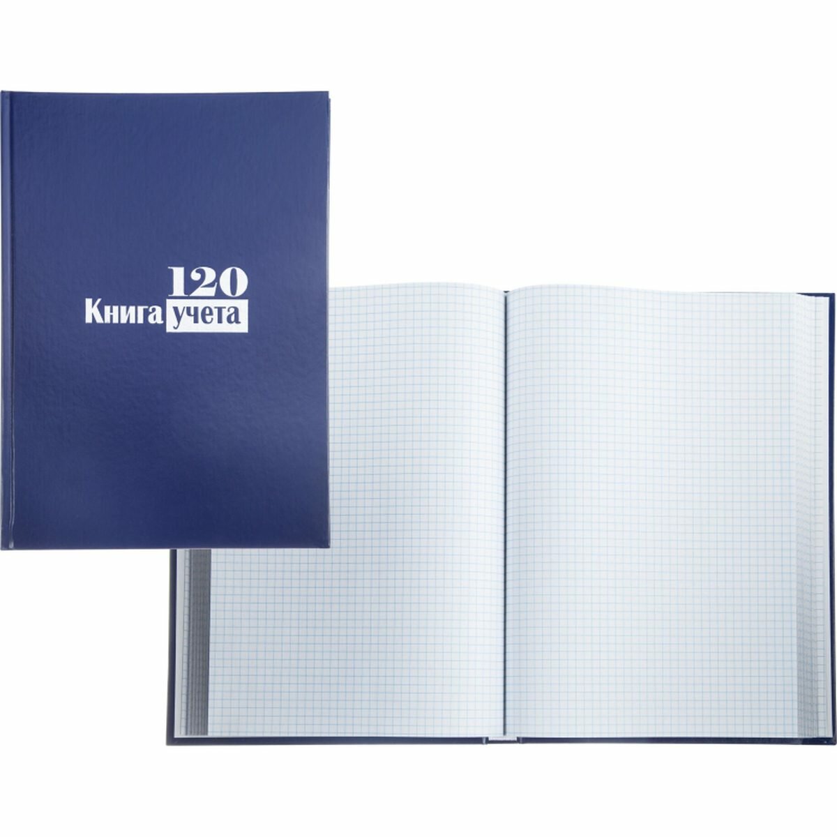 Бухгалтерская книга учета (А4, 120л, клетка, блок офсет) обложка бумвинил, на сшивке (889245)