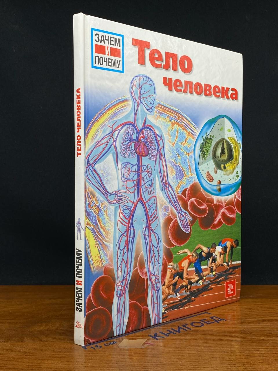 Книга. Тело человека 2011 (2042229987623)