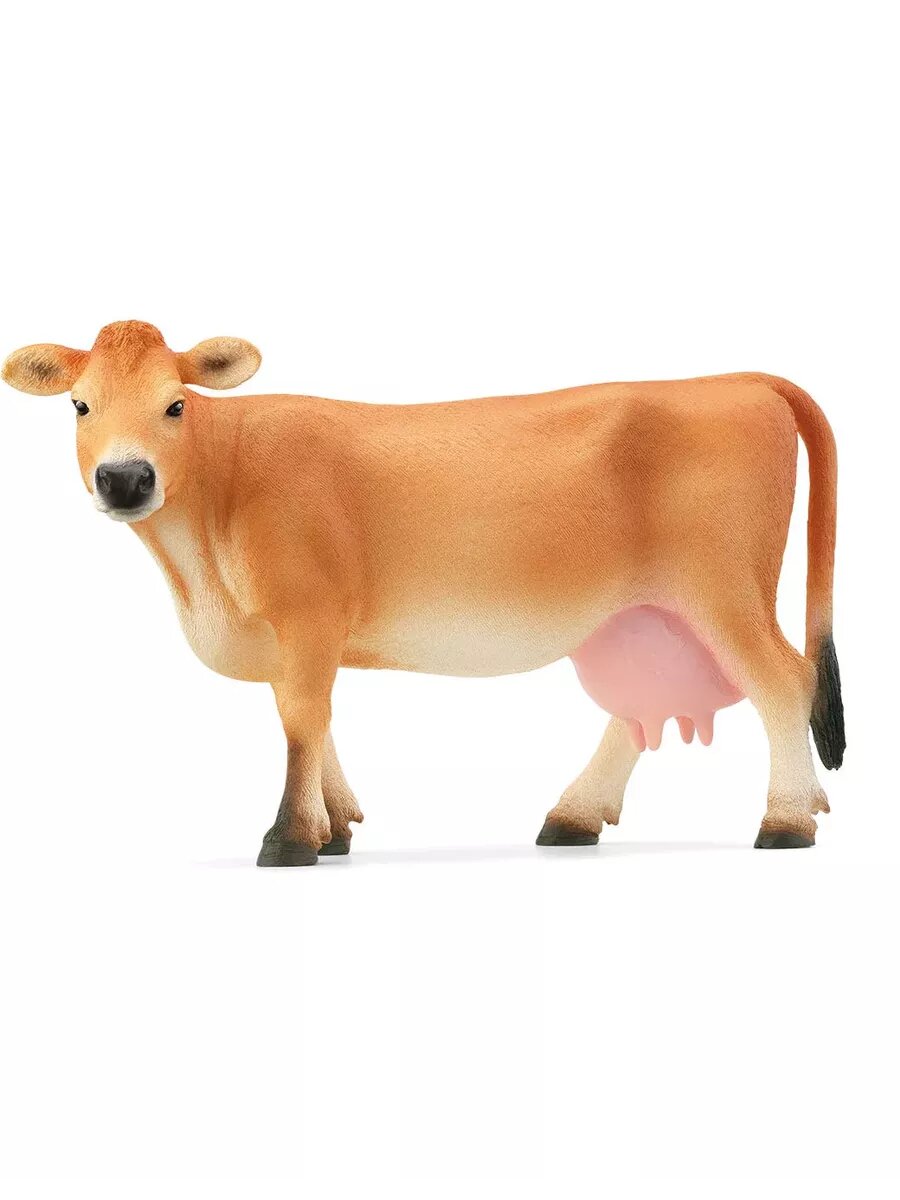 Животное Корова Джерси