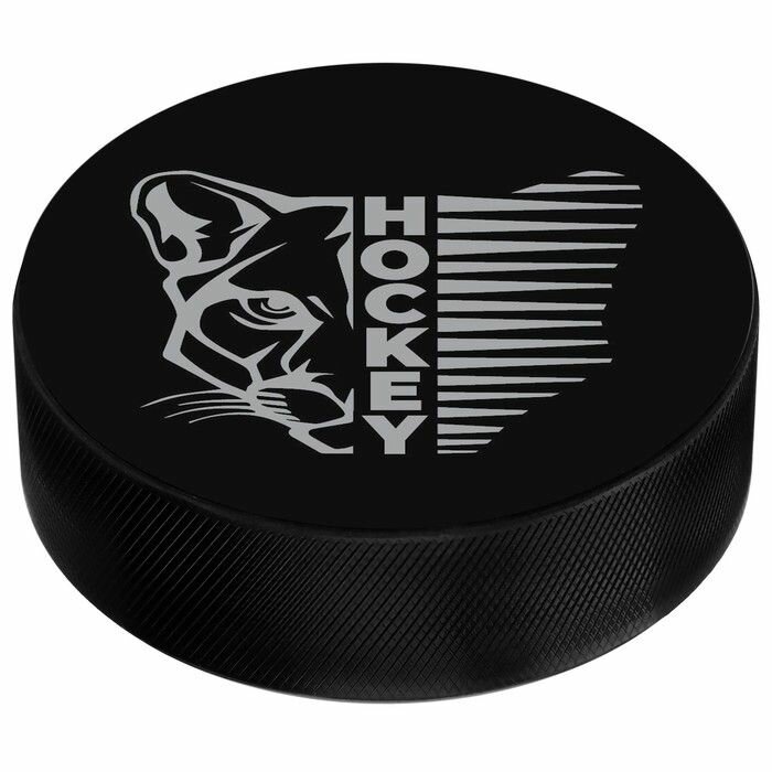 Шайба WINTER STAR "Hockey Panther", хоккейная, взрослая, диаметр 7,6 см
